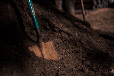 What Is Loam Soil & Why It's Good For Growing Healthy Plants