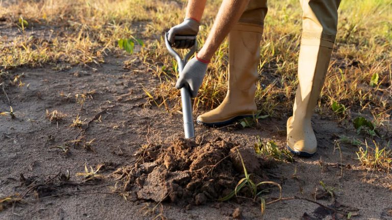 What Is Loam Soil & Why It's Good For Growing Healthy Plants