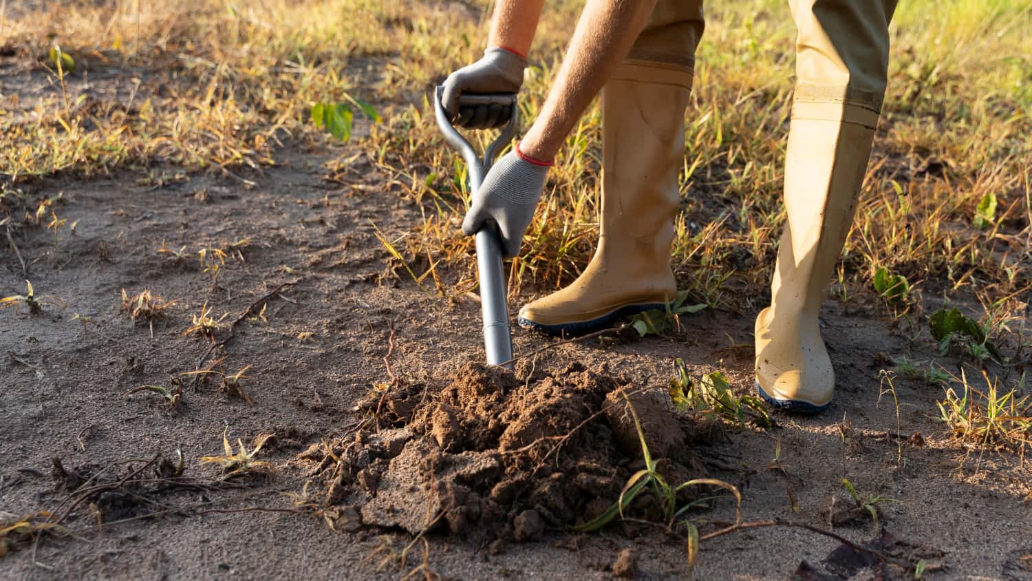 What Is Loam Soil & Why It's Good For Growing Healthy Plants