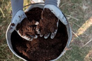 What Is Loam Soil & Why It's Good For Growing Healthy Plants