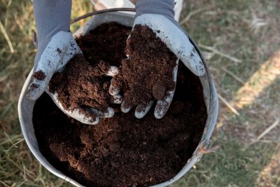 What Is Loam Soil & Why It's Good For Growing Healthy Plants