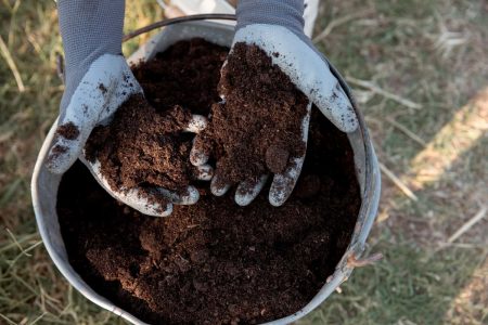 What Is Loam Soil & Why It's Good For Growing Healthy Plants