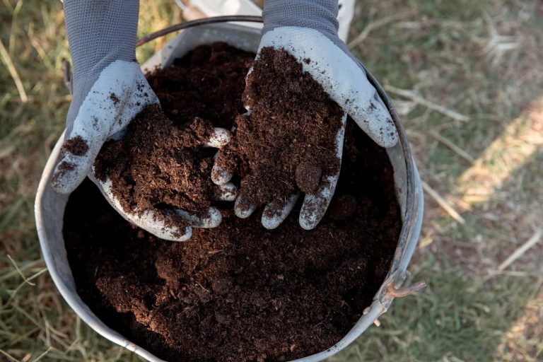 What Is Loam Soil & Why It's Good For Growing Healthy Plants